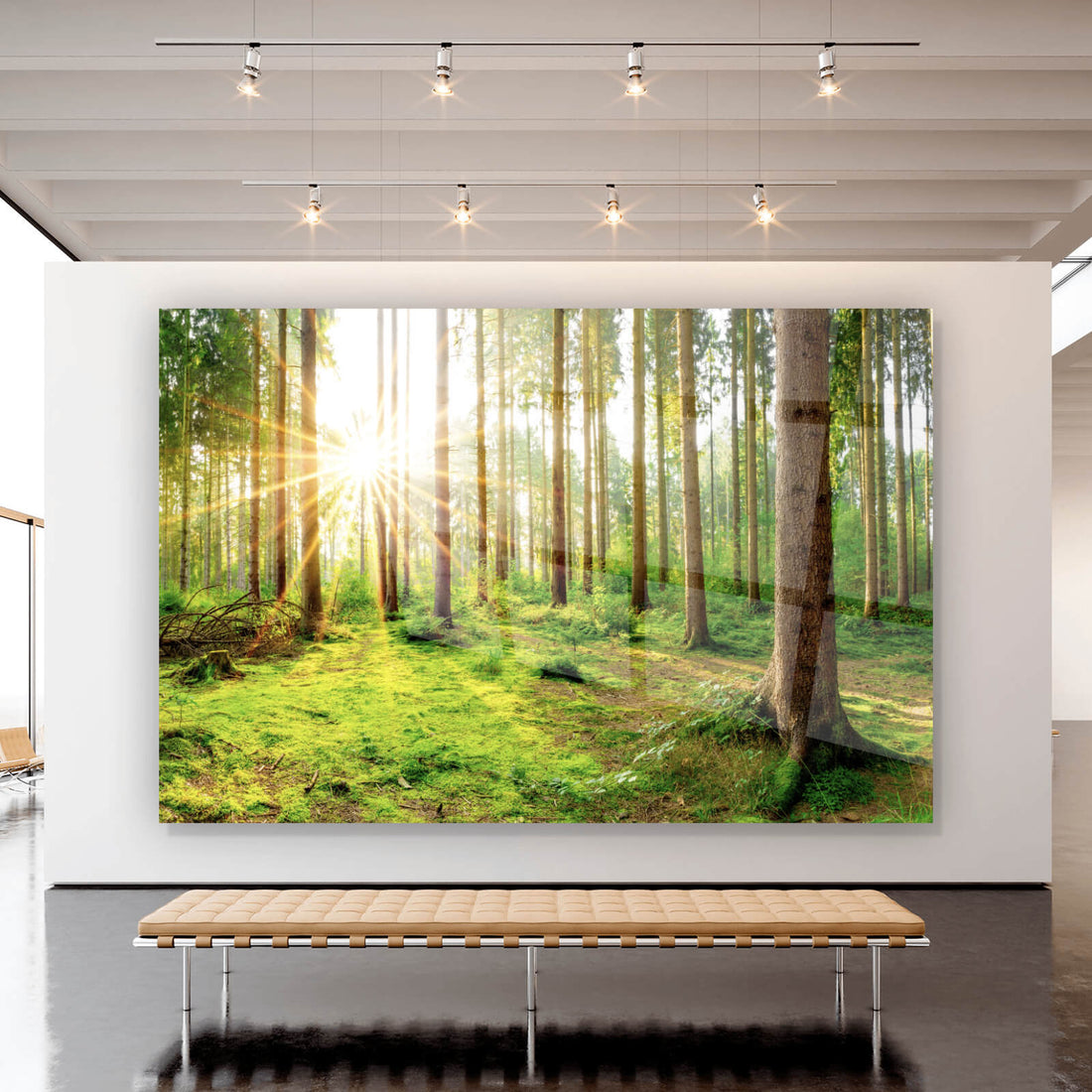 Acrylglasbild Wald am Morgen Querformat – Picoria